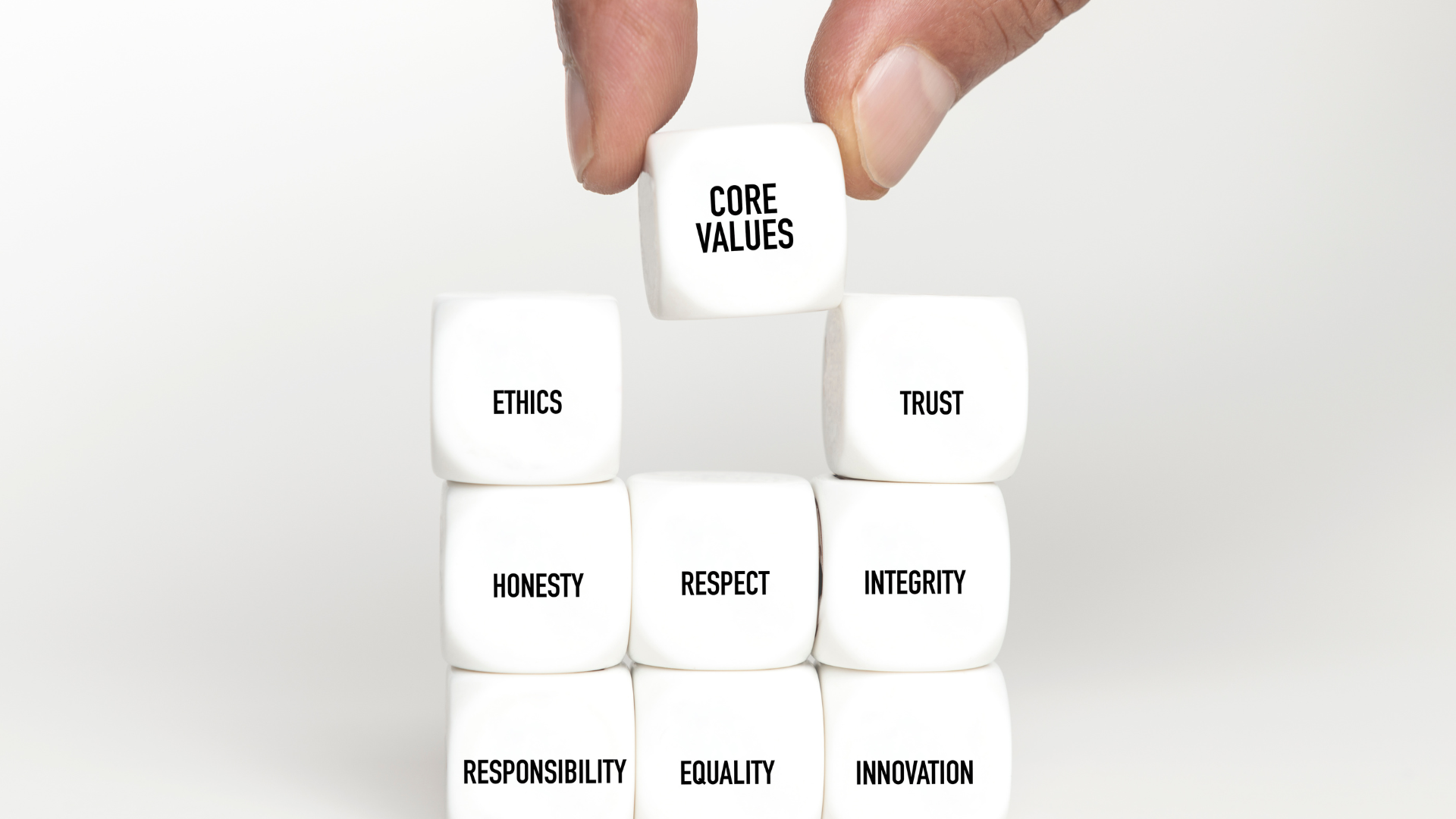 Values, Vision & Purpose - Trevero